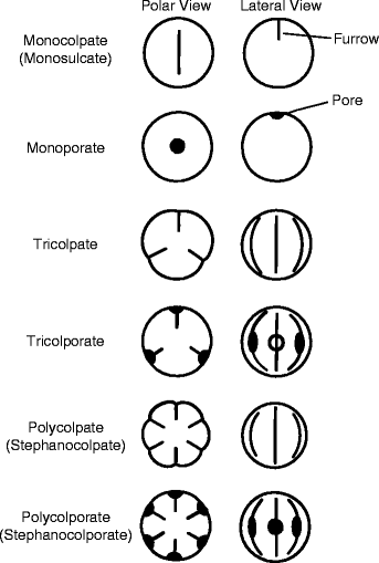 Spores, Pollen, Phytoliths, Starch Grains, and Other Microbotanical ...