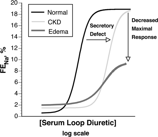 Diuretic Therapy | SpringerLink