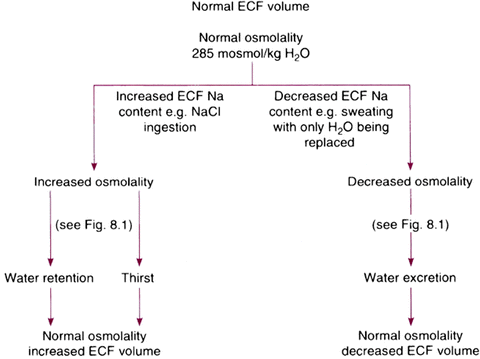 Regulation of Body Fluid Volume | SpringerLink