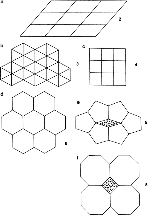 Crystal Morphology and Crystal Symmetry | SpringerLink