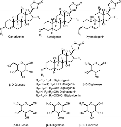 Cardenolide Aglycone Formation in Digitalis | SpringerLink