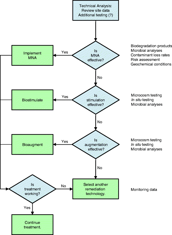 Bioaugmentation for Groundwater Remediation: an Overview | SpringerLink