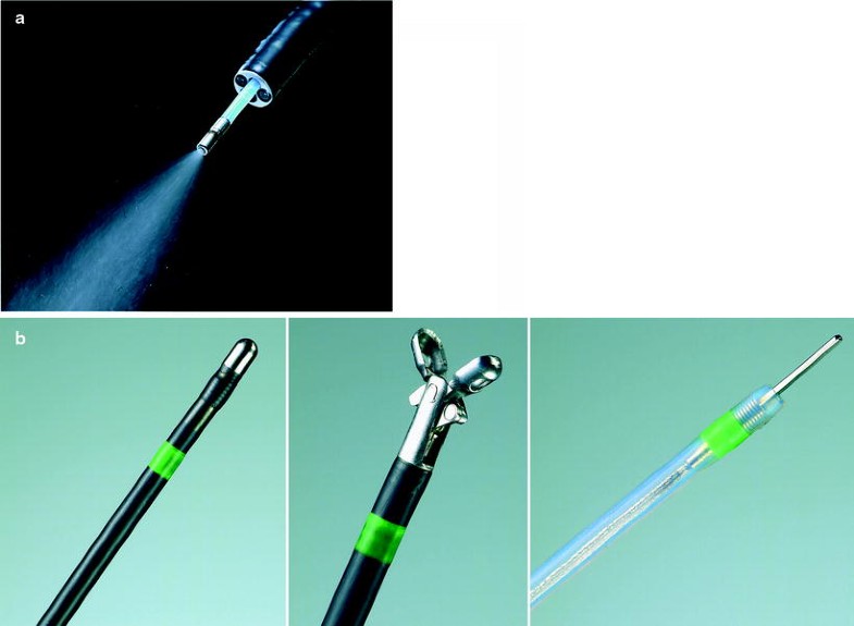 Medical Thoracoscopy/Pleuroscopy | SpringerLink