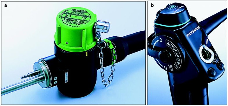 Medical Thoracoscopy/Pleuroscopy | SpringerLink