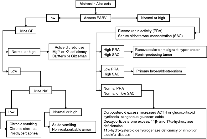 Metabolic Alkalosis | SpringerLink