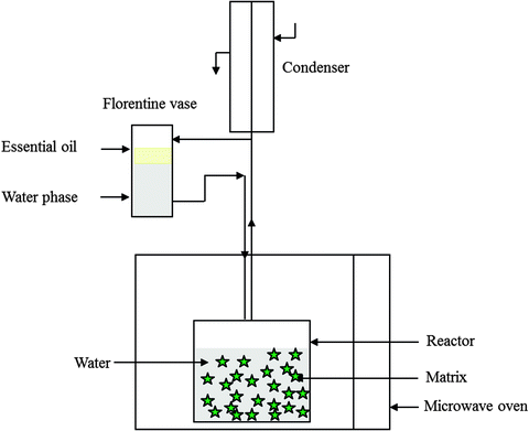 Microwave-Assisted Extraction of Essential Oils and Aromas | SpringerLink