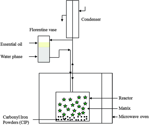 Microwave-Assisted Extraction of Essential Oils and Aromas | SpringerLink