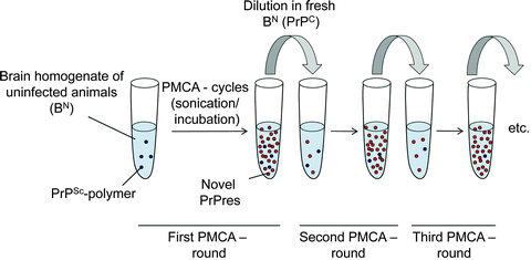 Protein Misfolding Cyclic Amplification | SpringerLink