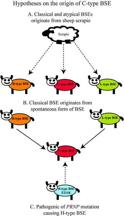 Bovine Spongiform Encephalopathy | SpringerLink