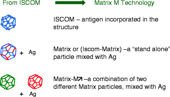 Matrix M Adjuvant Technology | SpringerLink