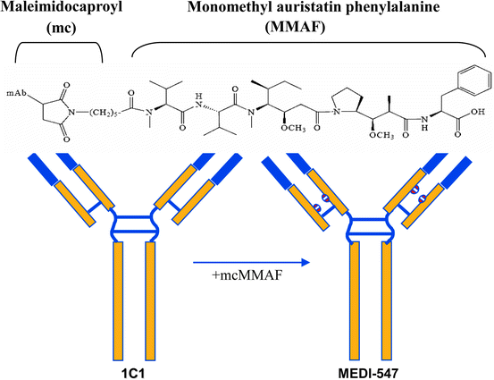 EphA2 Immunoconjugate | SpringerLink