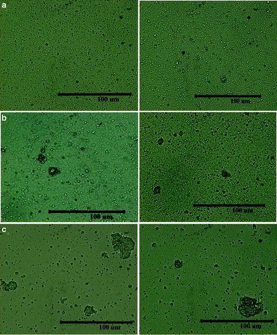 Ice Cream Structure | SpringerLink