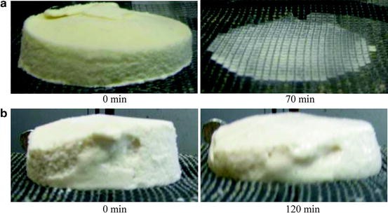 Ice Cream Structure | SpringerLink