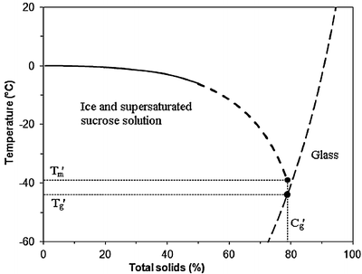 Ice Cream Structure | SpringerLink