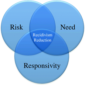 The Empirical Basis for the RNR Model with an Updated RNR Conceptual ...