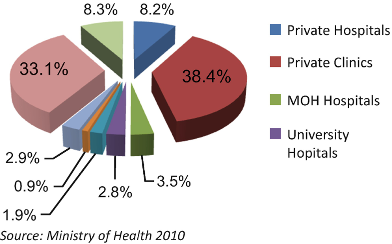 Health System in Egypt | SpringerLink