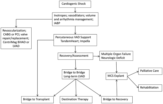 Triage VADs: TandemHeart, Impella, and CentriMag | SpringerLink