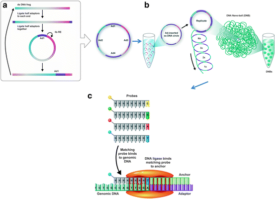 History of DNA Sequencing Technologies | SpringerLink