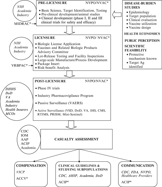 Vaccine Development and Safety | SpringerLink