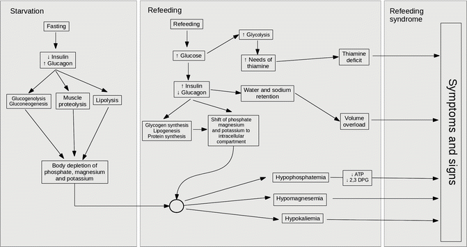 Etiology and Complications of Refeeding Syndrome in the ICU | SpringerLink