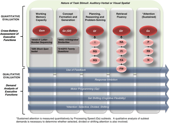 Cross-Battery Approach to the Assessment of Executive Functions ...