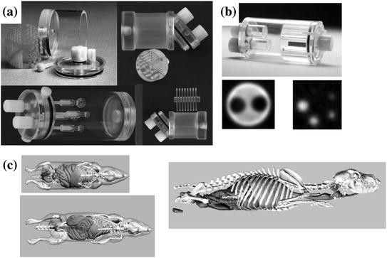 Nuclear Medicine and PET Phantoms | SpringerLink
