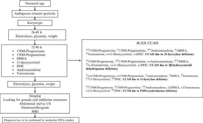 Hirsutism and Virilization | SpringerLink