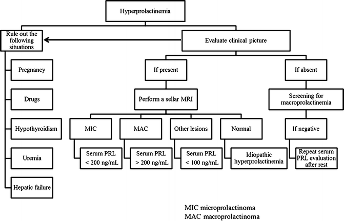 Hyperprolactinemia | SpringerLink