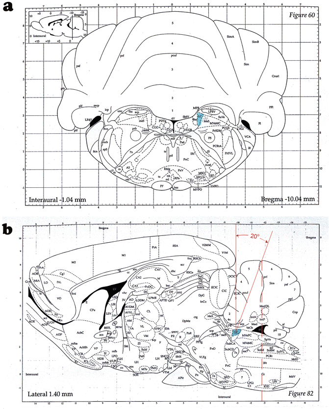Brain Stereotaxic Injection | SpringerLink