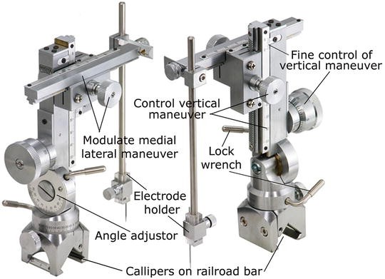 Brain Stereotaxic Injection | SpringerLink