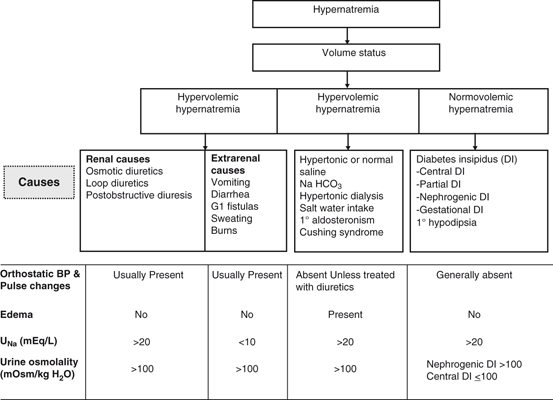 Disorders of Water Balance: Hypernatremia | SpringerLink