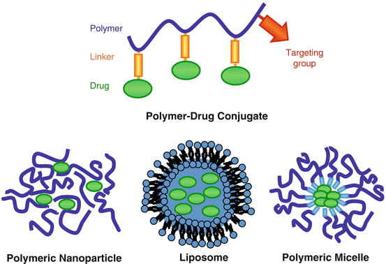 Polymer-Drug Conjugates | SpringerLink