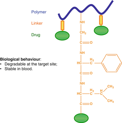 Polymer-Drug Conjugates | SpringerLink