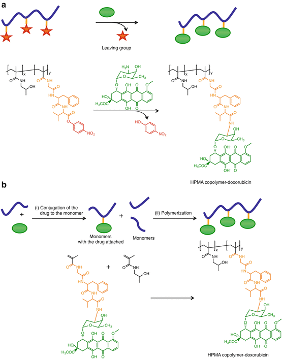 Polymer-Drug Conjugates | SpringerLink