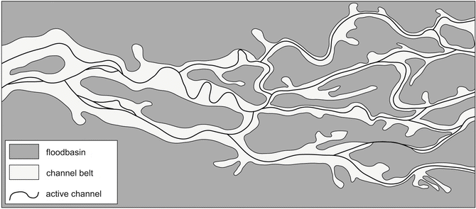 Anastomosing Pattern | SpringerLink