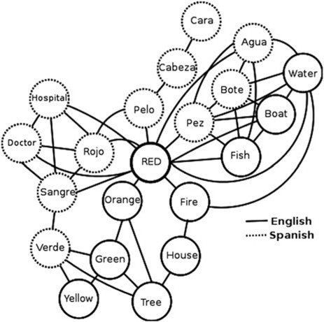 Bilingual Memory Storage: Compound-Coordinate and Derivatives | SpringerLink