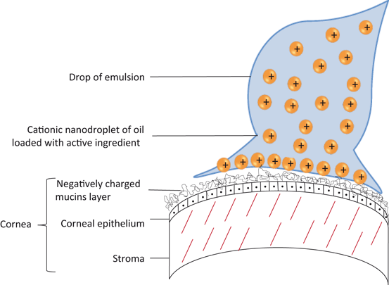 Development of a Cationic Nanoemulsion Platform (Novasorb®) for Ocular ...