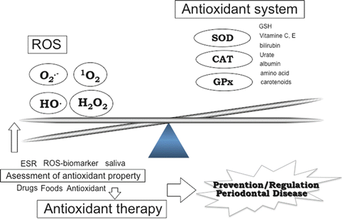 Reactive Oxygen Species and Antioxidant Systems in Periodontal Disease ...