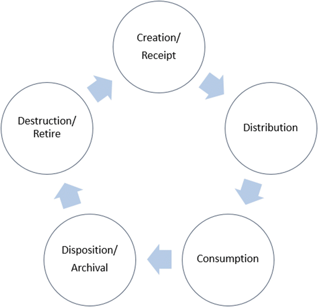 The Lifecycle of Enterprise Information Management | SpringerLink