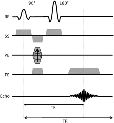 Basic Principles of Magnetic Resonance Imaging | SpringerLink