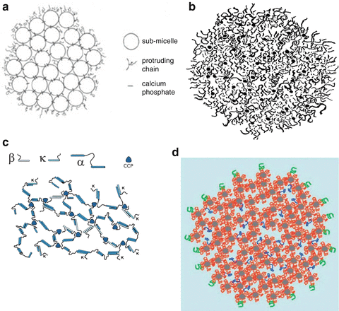 Chemistry of Milk Constituents | SpringerLink