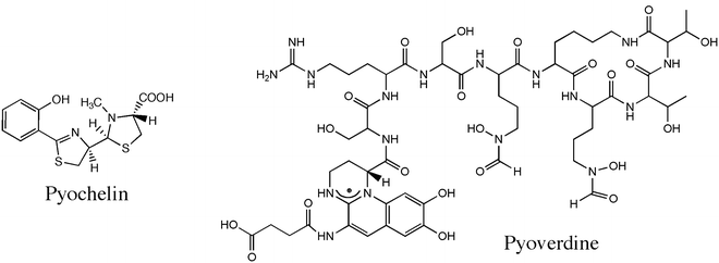 Pyoverdine and Pyochelin Measurements | SpringerLink