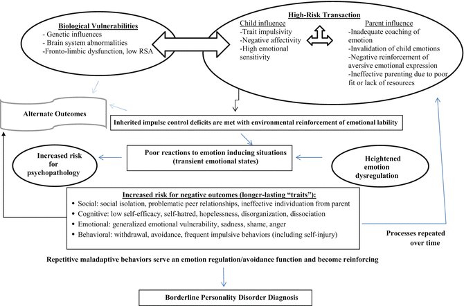 A Biosocial Model of BPD: Theory and Empirical Evidence | SpringerLink