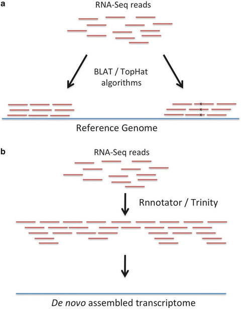 Transcriptome Sequencing (RNA-Seq) | SpringerLink