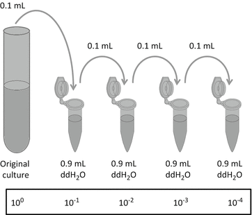 Yeast Survival and Growth Assays | SpringerLink