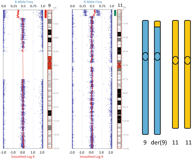Chromosome Microarrays in Diagnostic Testing: Interpreting the Genomic ...
