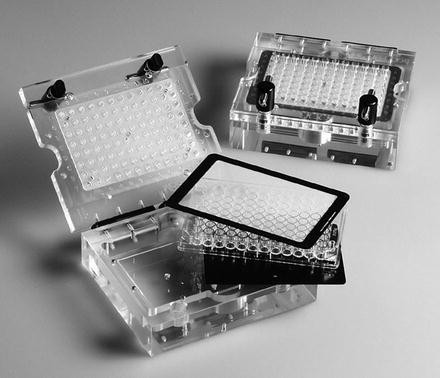 Eosinophil Chemotaxis | SpringerLink