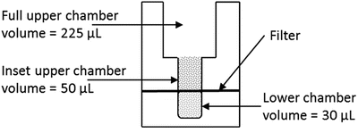 Eosinophil Chemotaxis | SpringerLink