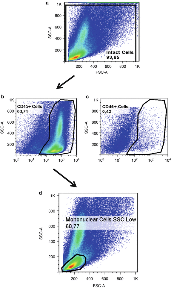 CD34+ Eosinophil-Lineage-Committed Cells in the Mouse Lung | SpringerLink