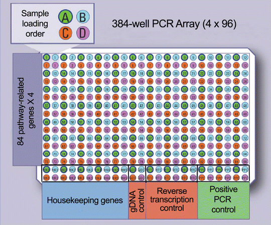 SYBR® Green and TaqMan® Quantitative PCR Arrays: Expression Profile of Genes Relevant to a ...
